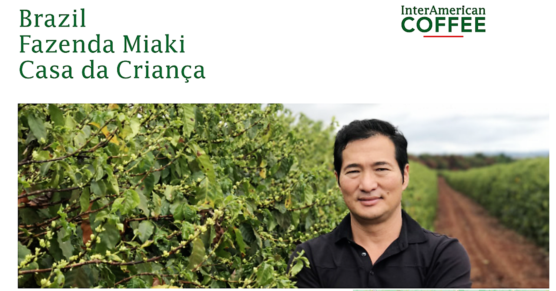 Brazil Fazenda Miaki Yellow Bourbon Pörkölt kávé 125g-KS | AVX Café webáruház